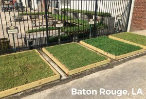 Woerner Turf & Landscape Supply - Sod & Landscape Supply Materials