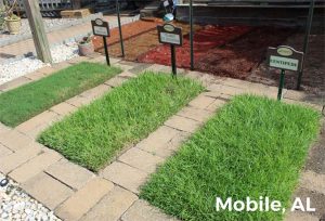 Woerner Turf & Landscape Supply - Sod & Landscape Supply Materials
