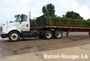 Woerner Turf & Landscape Supply - Sod & Landscape Supply Materials
